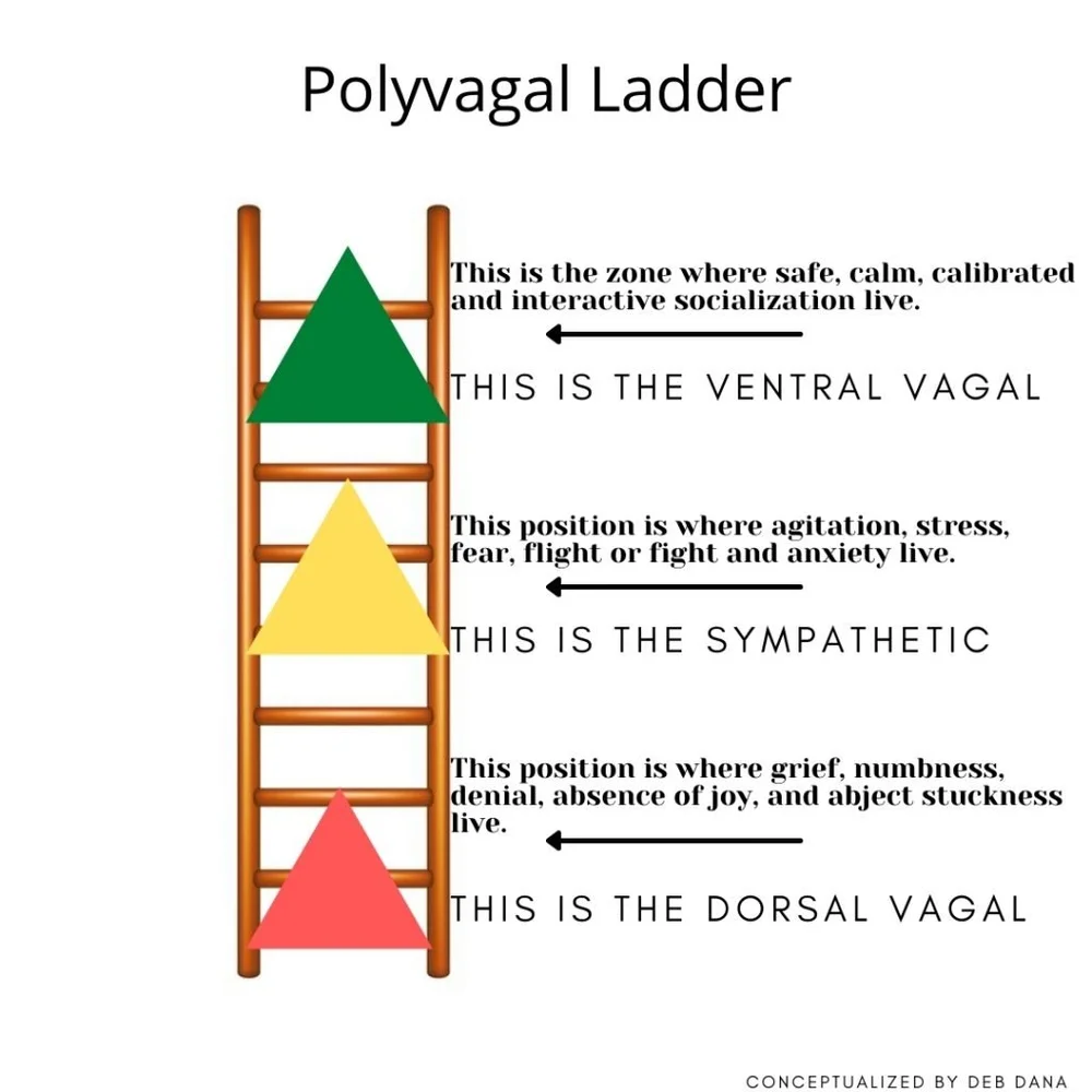 Poly Vagal Theory and Trauma