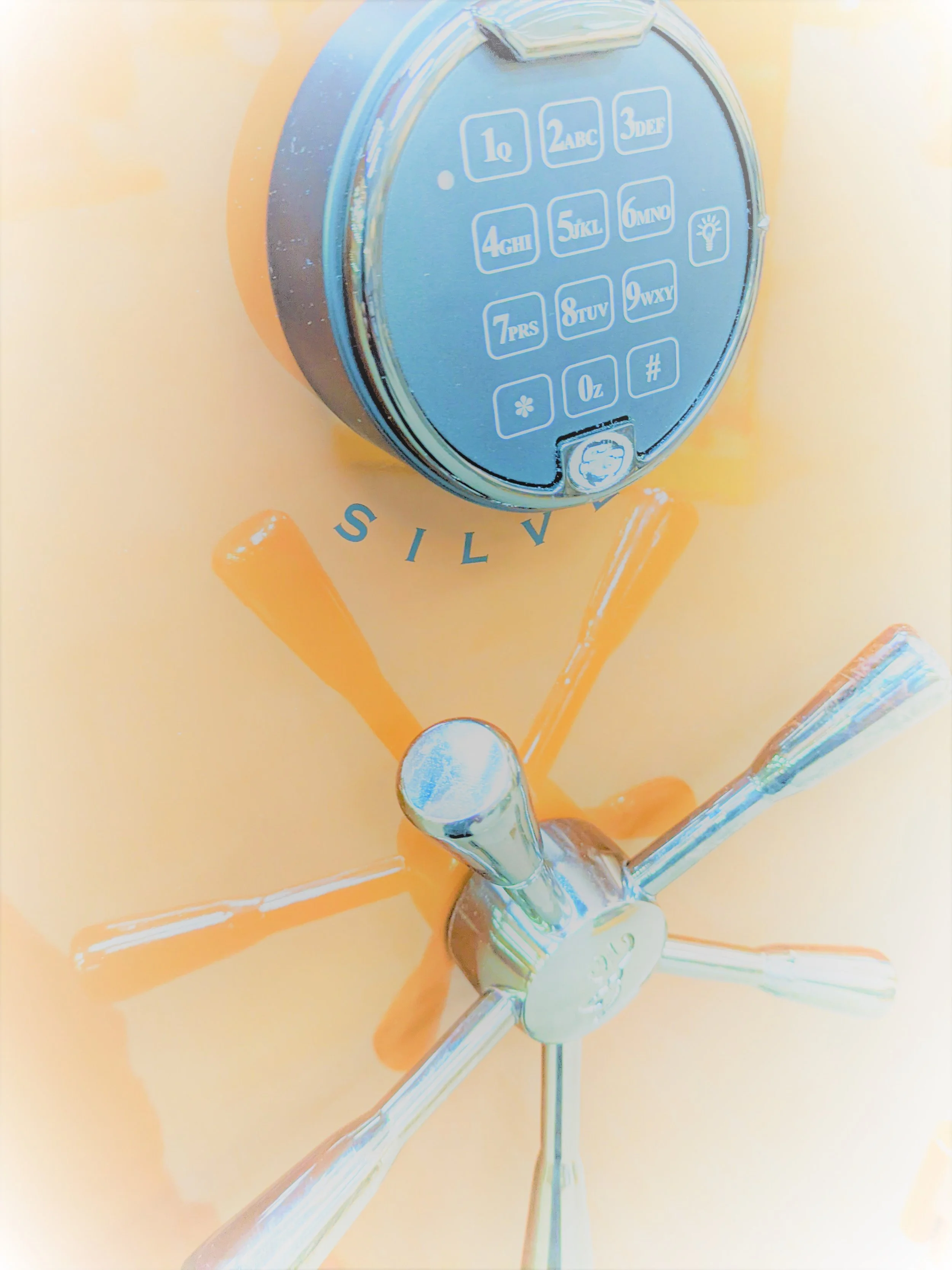 Security & Gun Safes — The Key Monkey