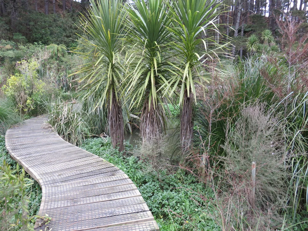 Gallery of Images — Tamahere Walkways