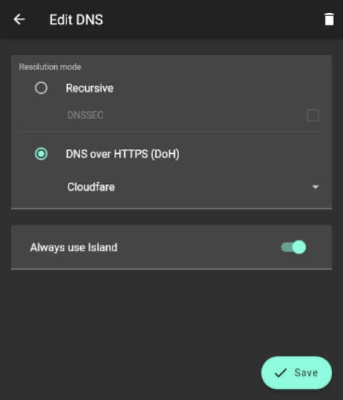 Domain Name System (DNS) Options in Island — Island Support