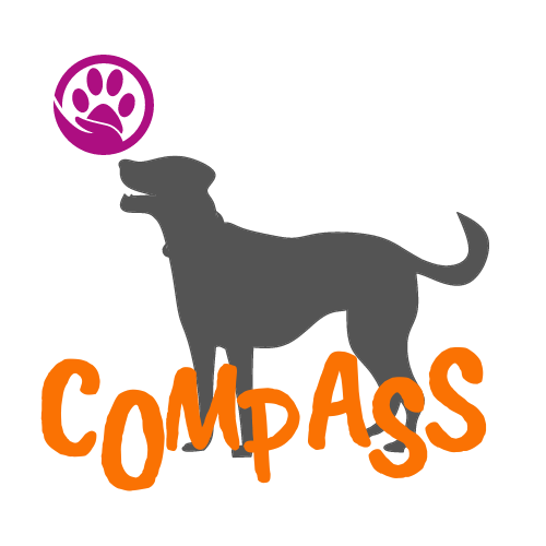 The Umbrella Framework — The Dog Talker - Charleston's Leading ...