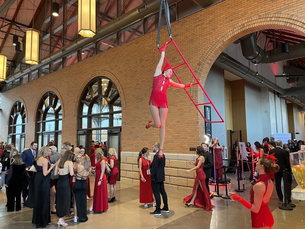 Choosing the Perfect Venue for Your Circus Extravaganza: A Guide for ...