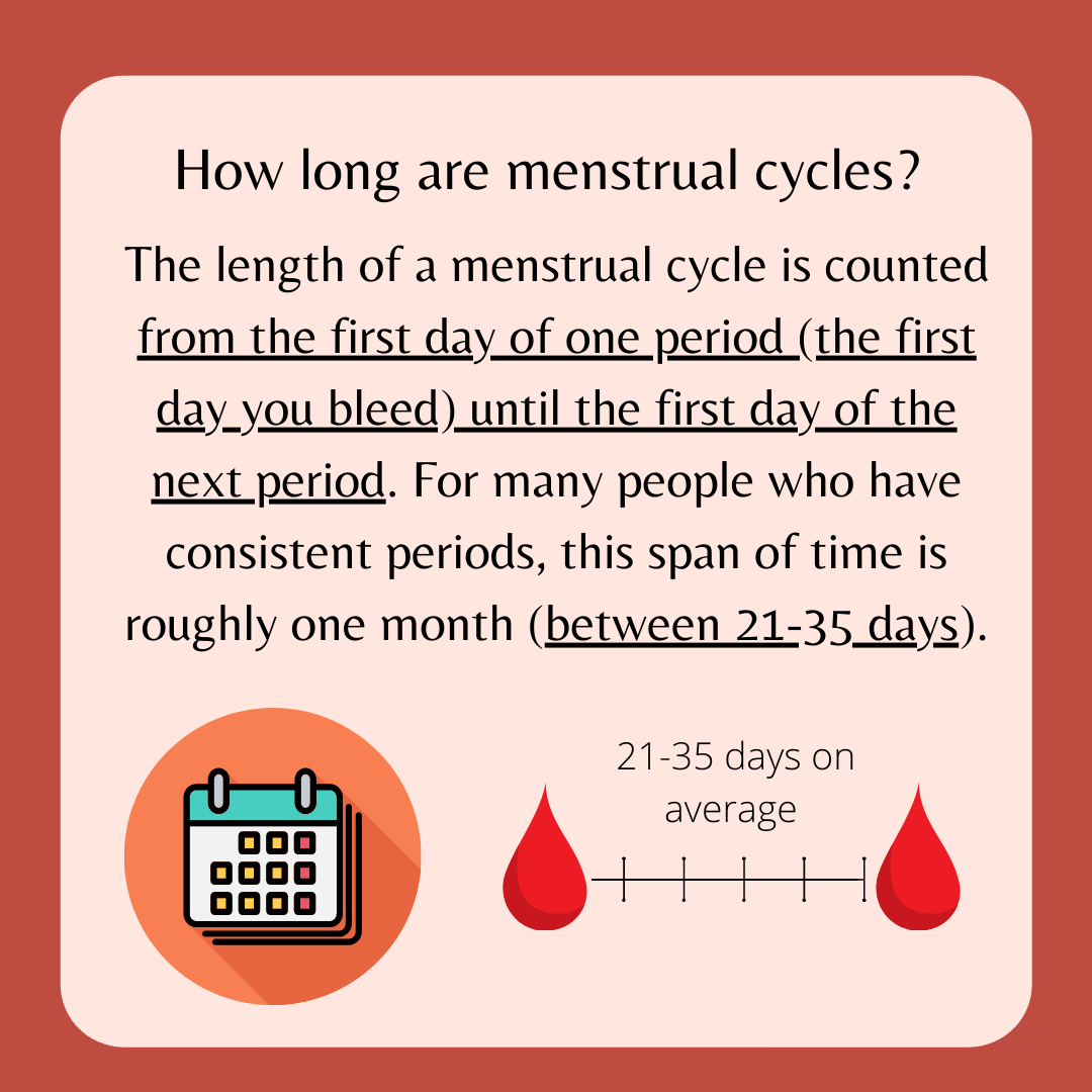 Cycles 101: Back to the Basics — Flow in Sync