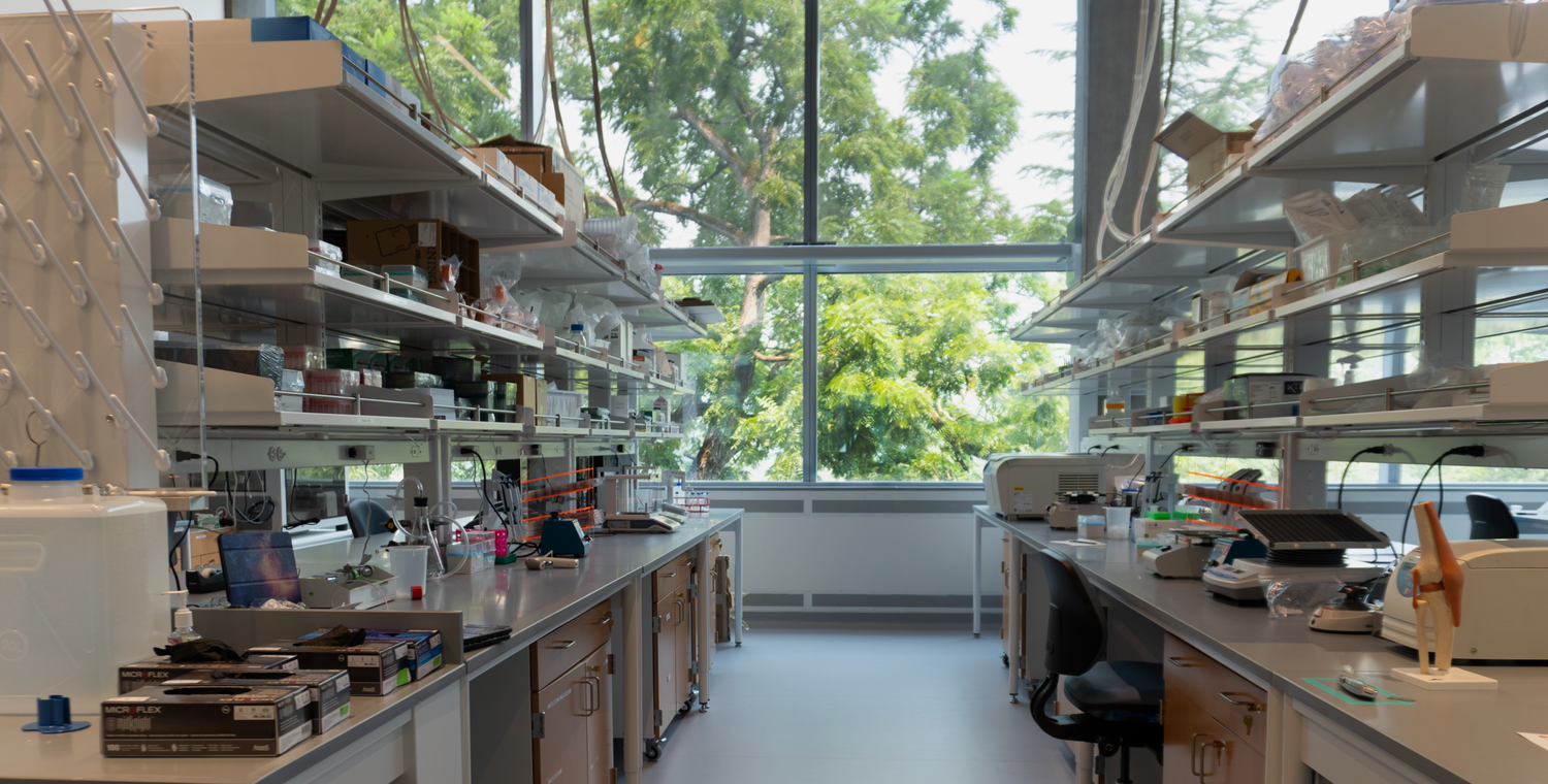 Research — Guldberg Lab