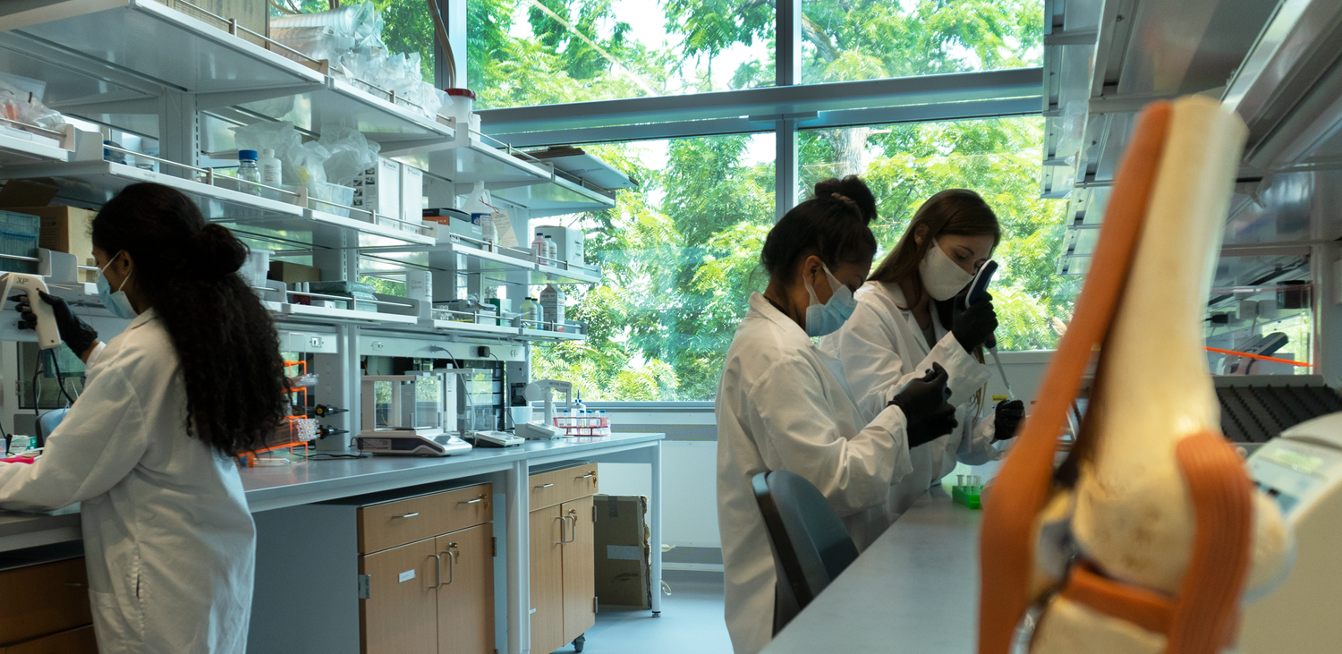 Guldberg Lab