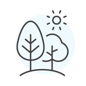 Summer Camp — The Learning Academy