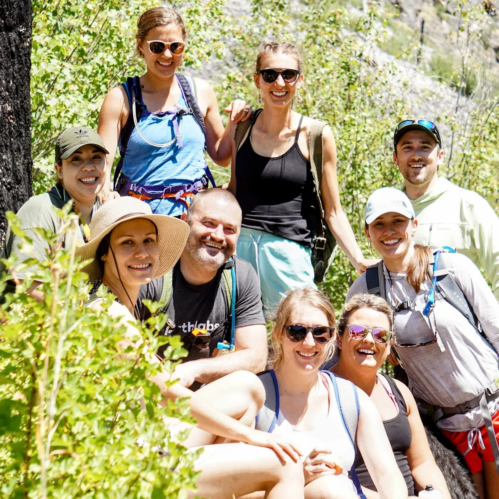 Connected TV Advertising Services - CTV Marketing | Pathlabs