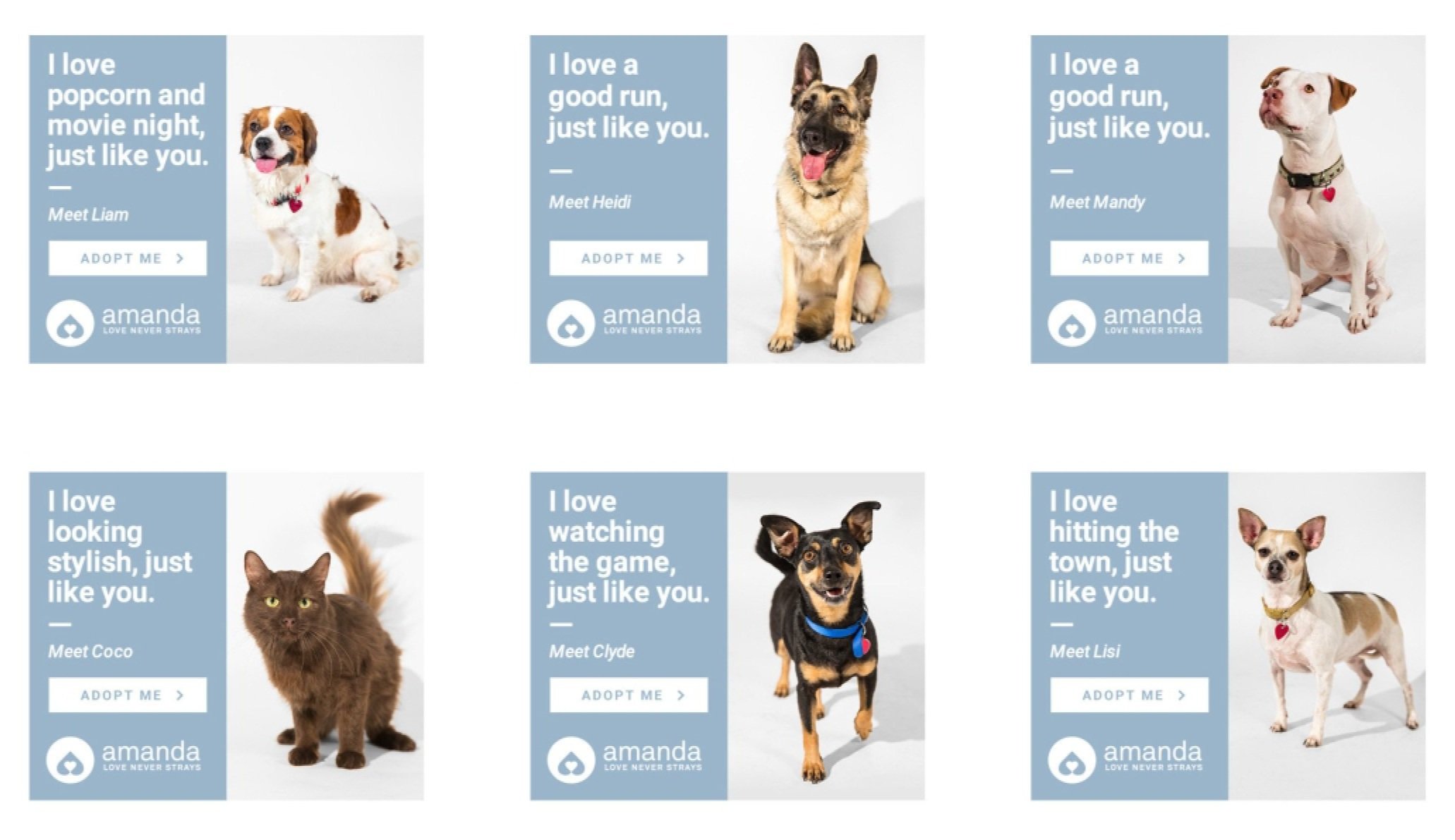 Programmatic Advertising Examples And Why They Were Successful | Pathlabs