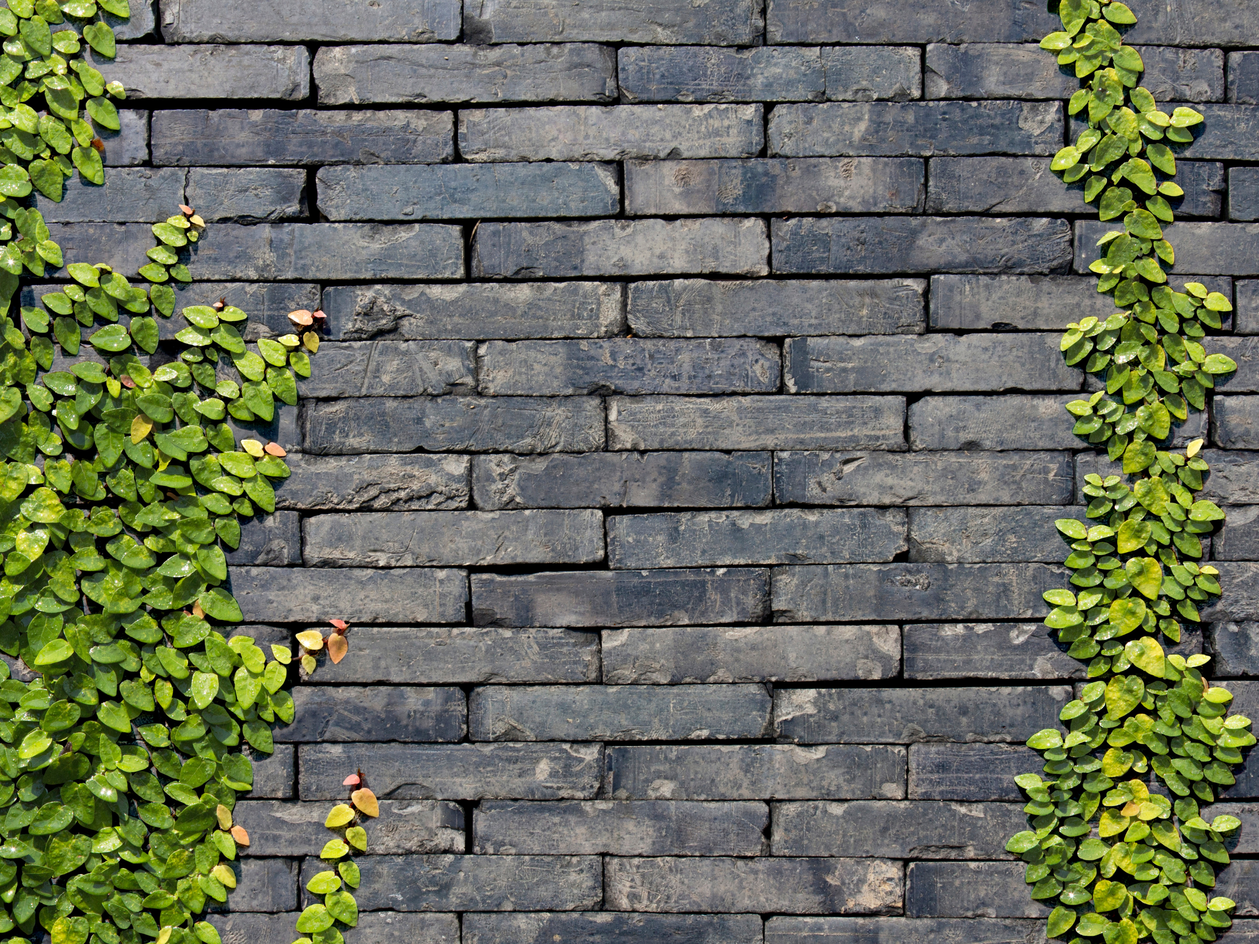 What Is Walled Garden Advertising? | Pathlabs