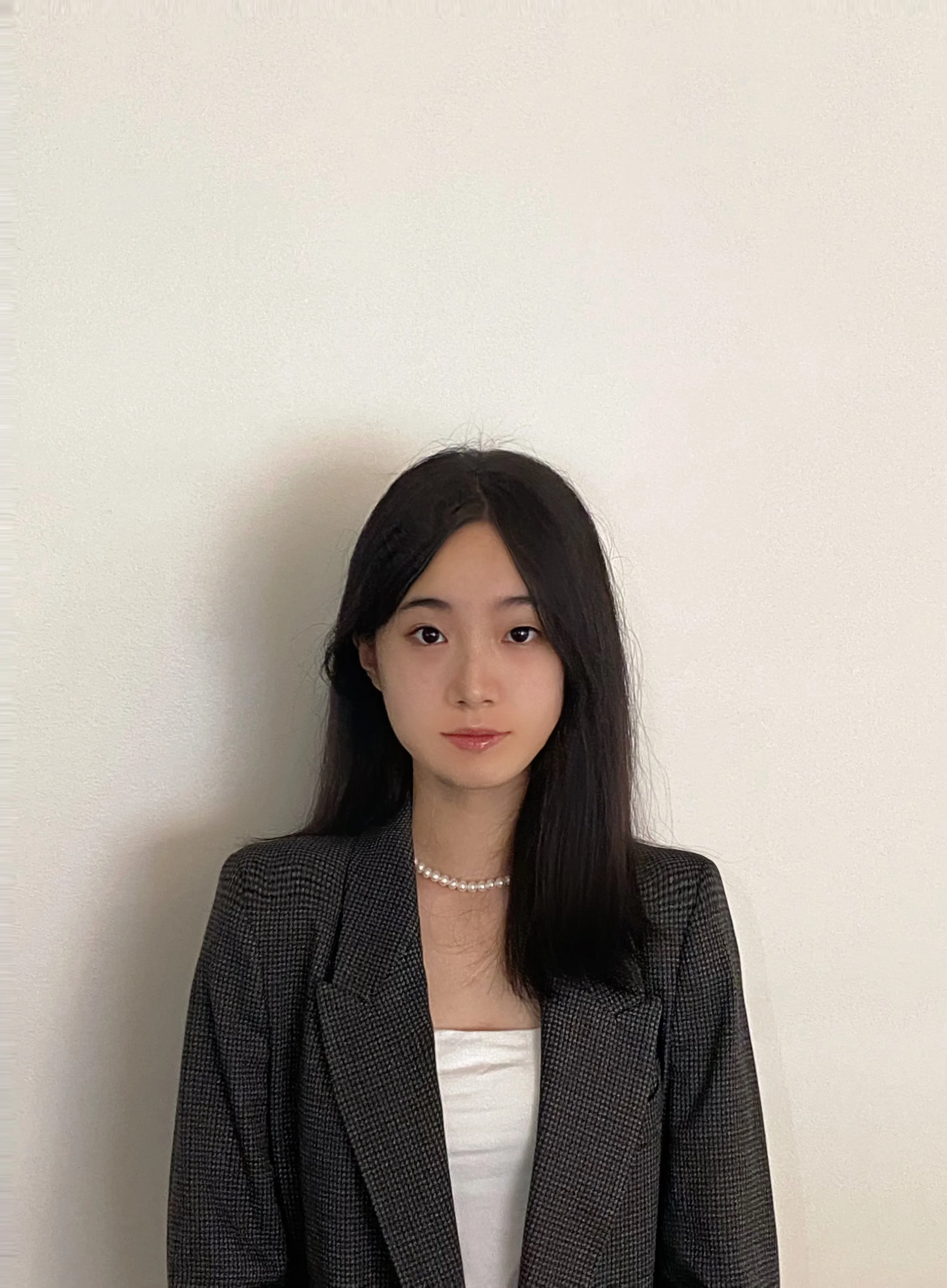 Disarmament and International Security Committee (DISEC) — CAIMUN