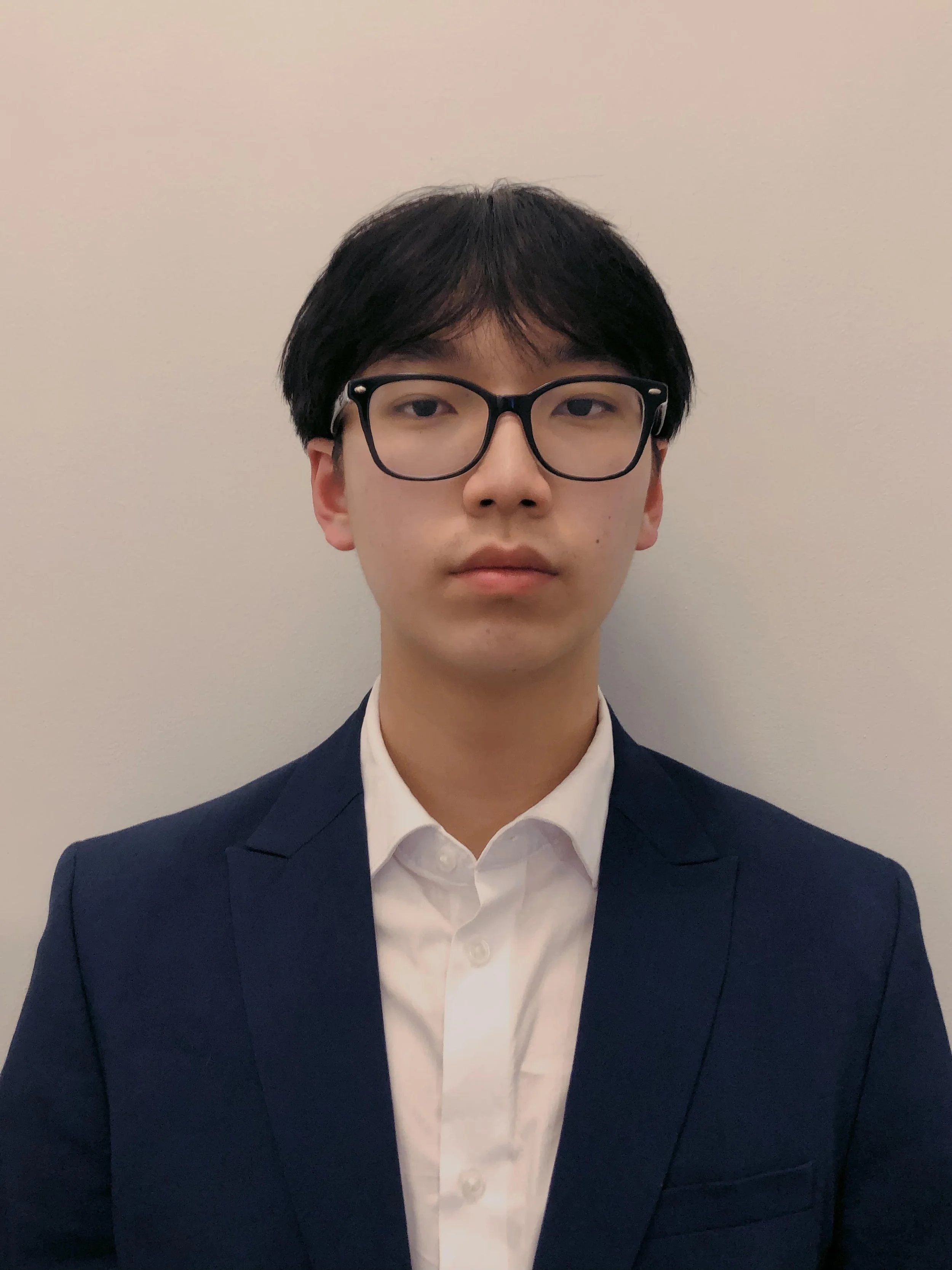 Disarmament and International Security Committee (DISEC) — CAIMUN