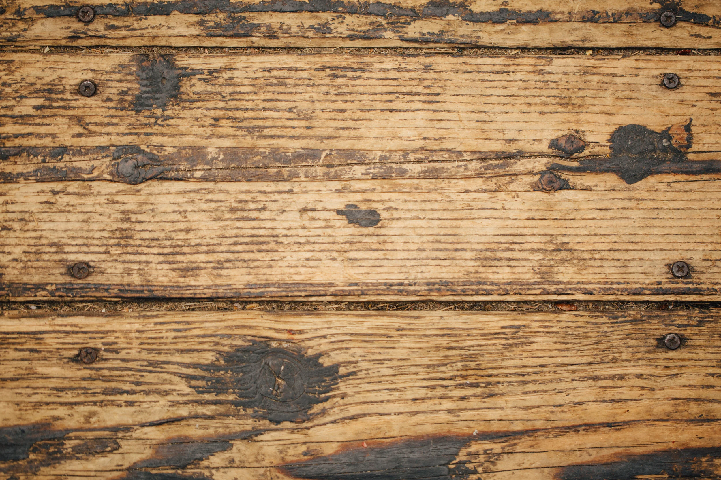 Menus — South Town Pie | Pizza Bar in South Park, Seattle