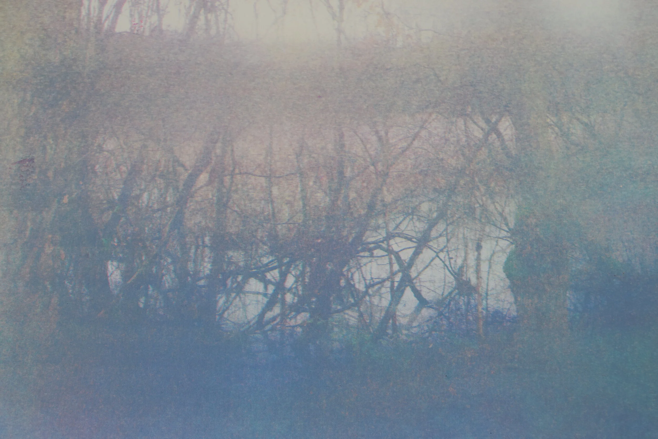 Fae Kilburn — Windows of the Soul