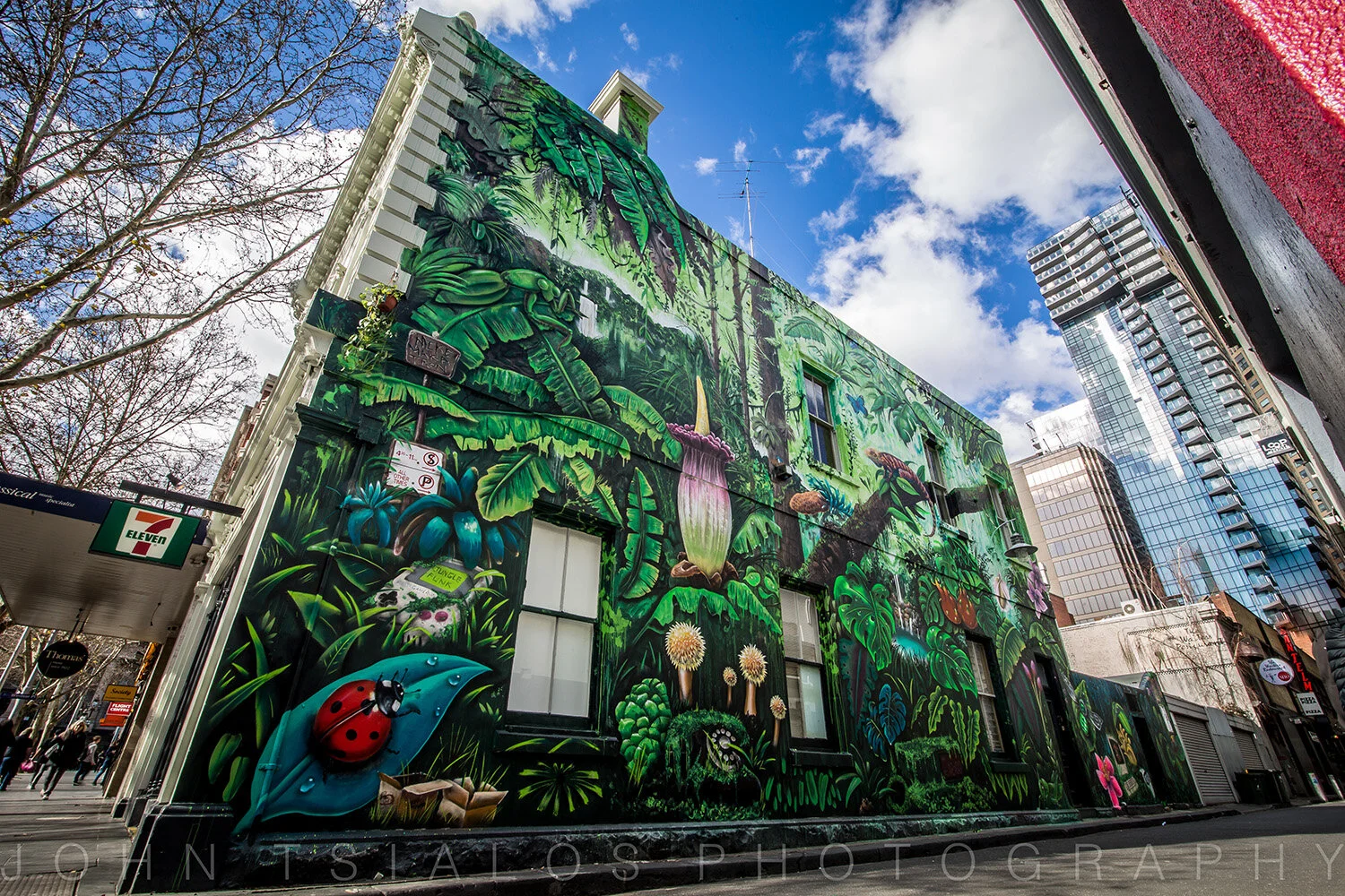 Murals — Mike Makatron