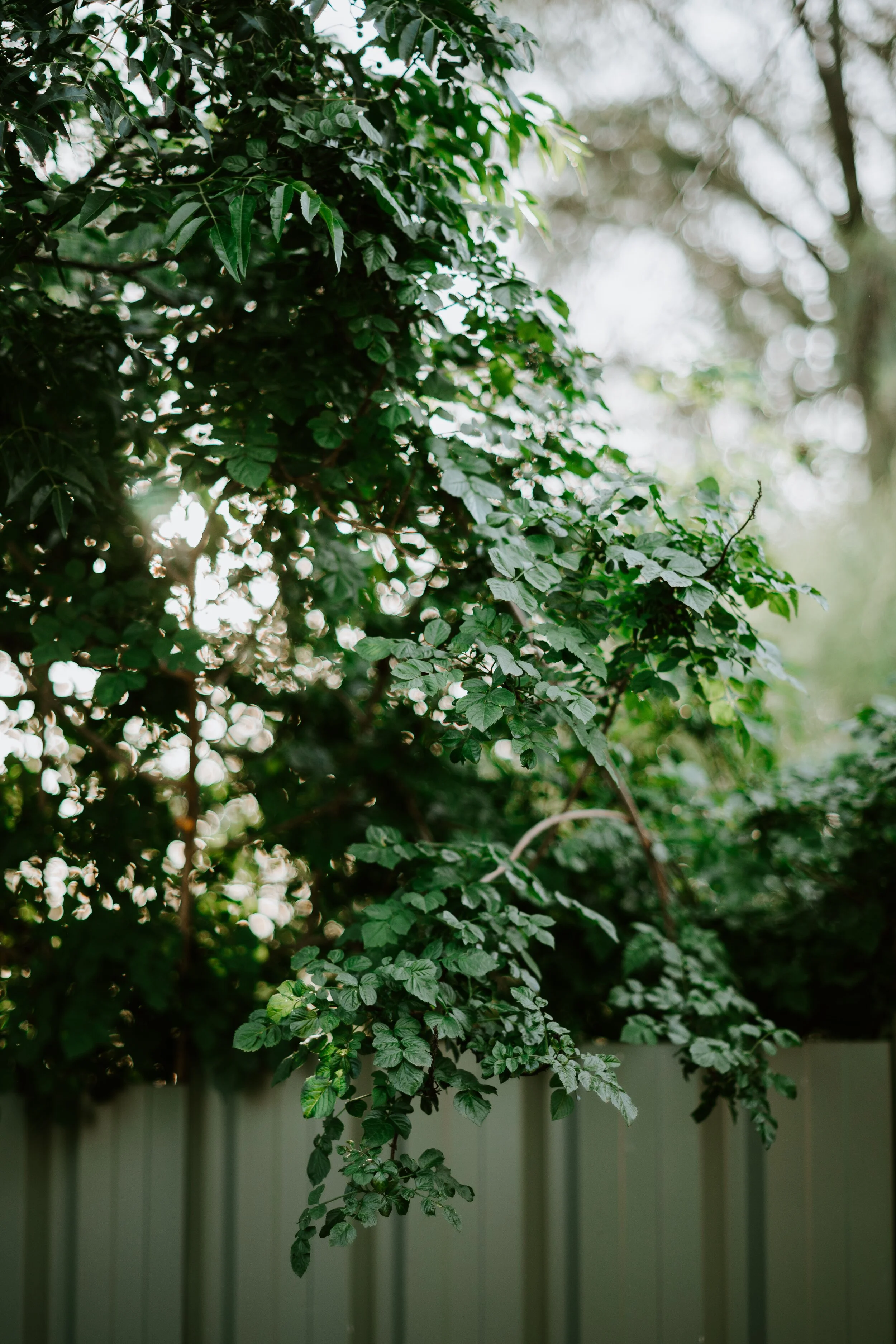 Women's Ministry — City Church of Richmond