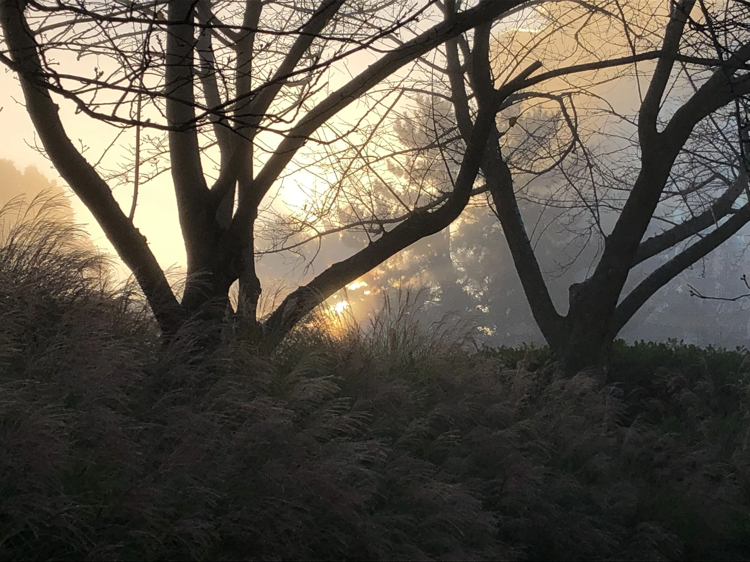 Reston for a Lifetime