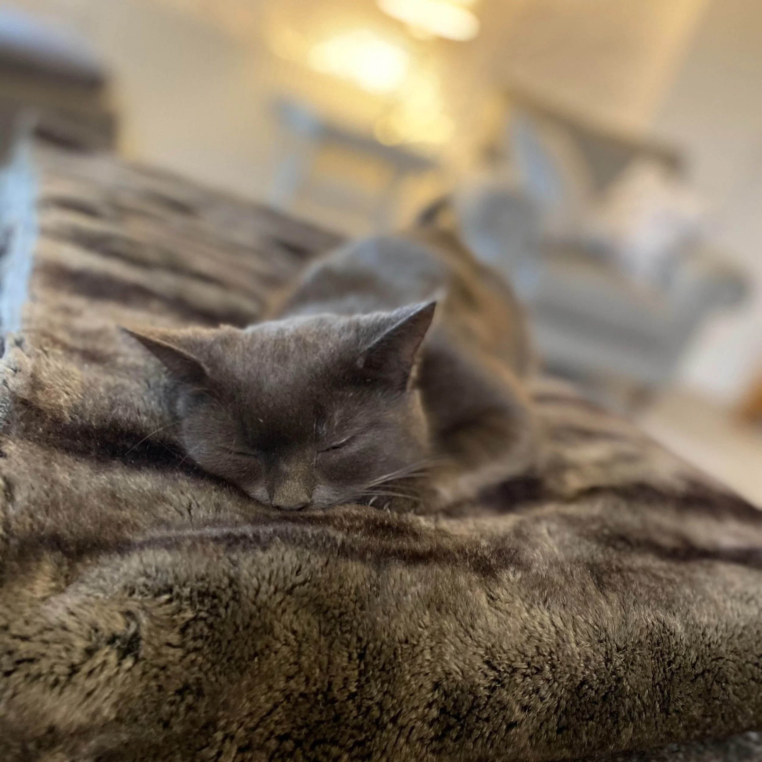 About stays at Elvey Farm - Kent — Elvey Farm - Kent