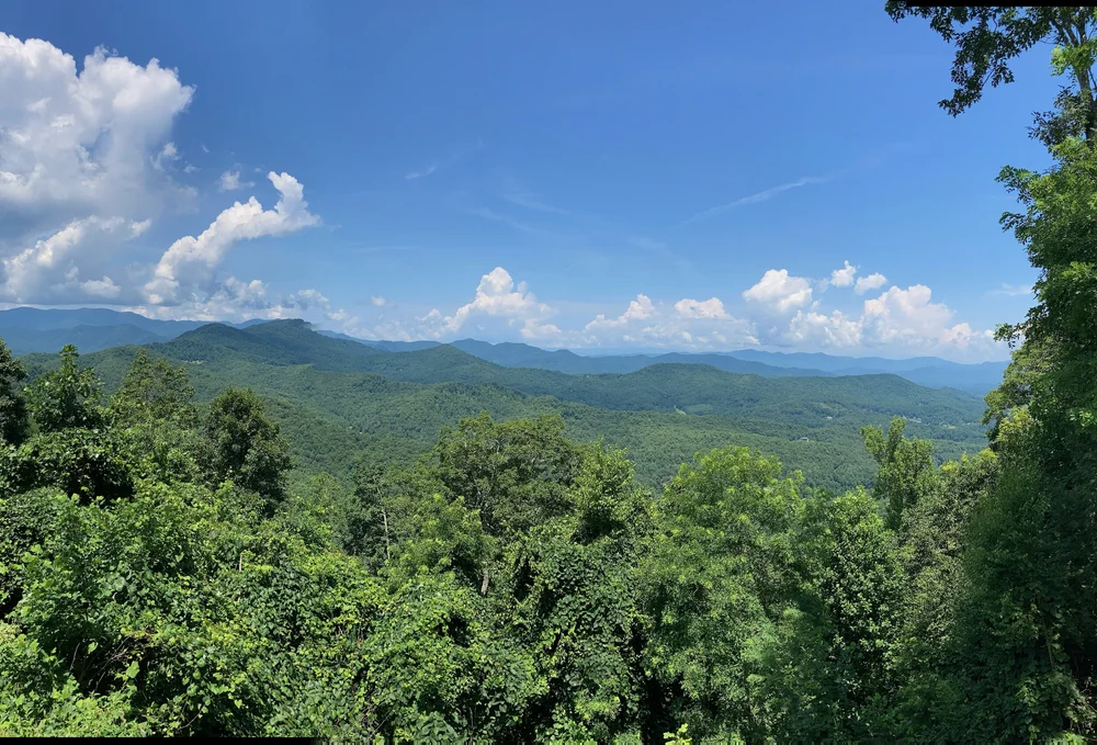 Otto Community Development Organization