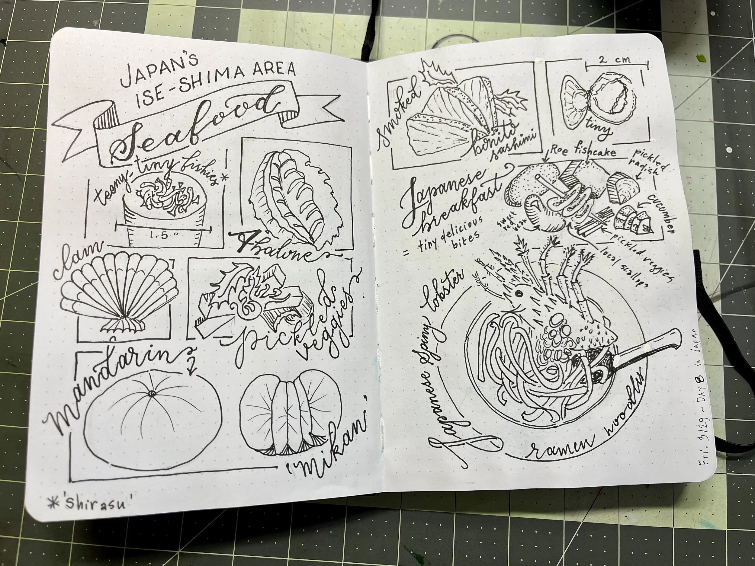 How to Begin an Illustrated Journal Practice and Draw Your Life | Molly ...