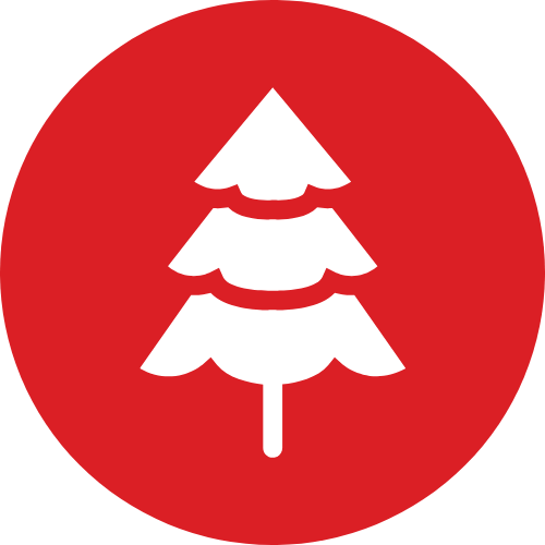 SoHo Trees | NYC Christmas Trees