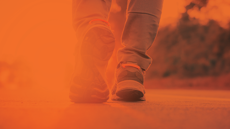 The Orange Path
