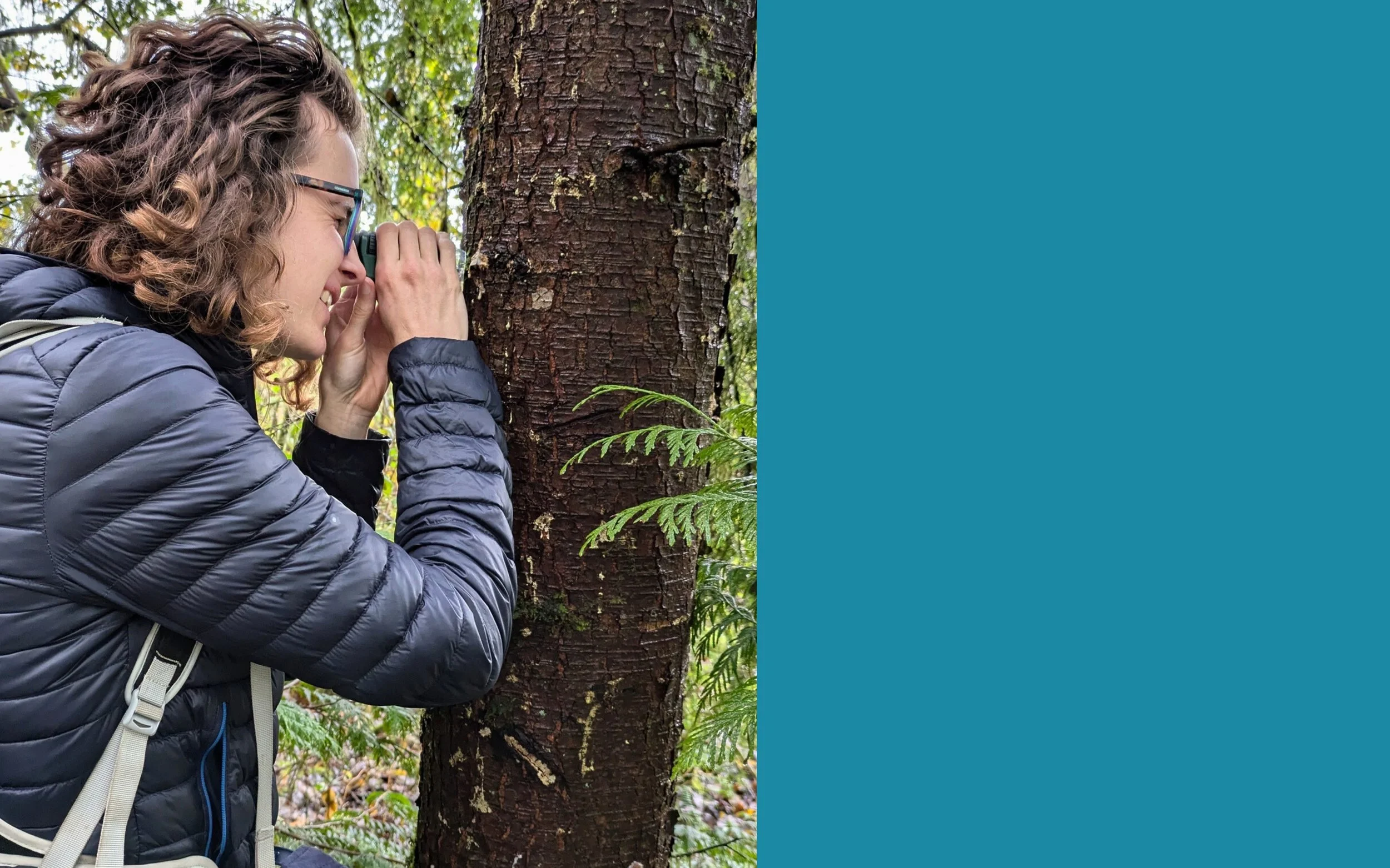 About the C2C 2025 Virtual Conference — Classrooms to Communities (C2C ...