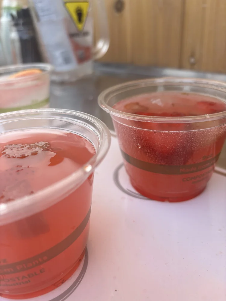 Non-Alcoholic Beverage Menu — Suds & Sodas - Mobile Bar & Beverage Cart