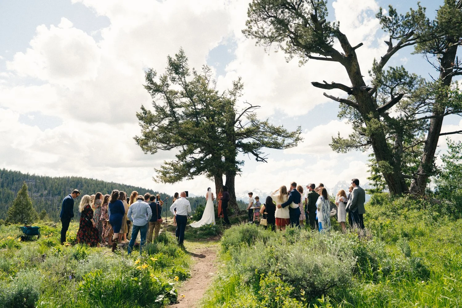 The Guide to Weddings at The Wedding Tree in the Tetons — danielle v ...