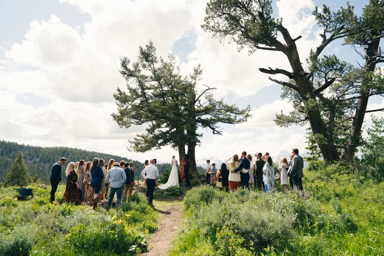 How to Get Married at The Wedding Tree in Jackson Hole, Wyoming ...