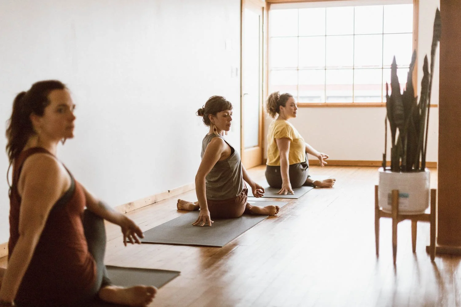 Class Styles — Bellingham Yoga Collective
