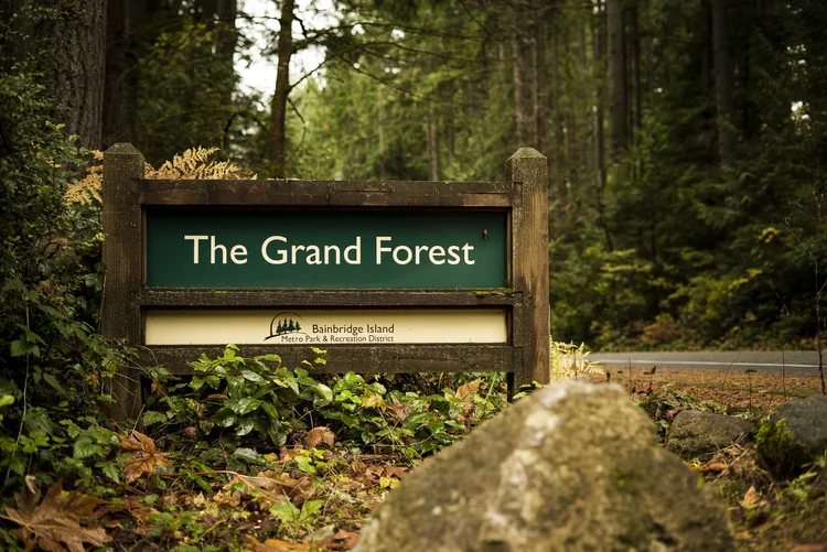 Bainbridge Island Engagement Photoshoot — Nicholas Swatz | Adventure ...