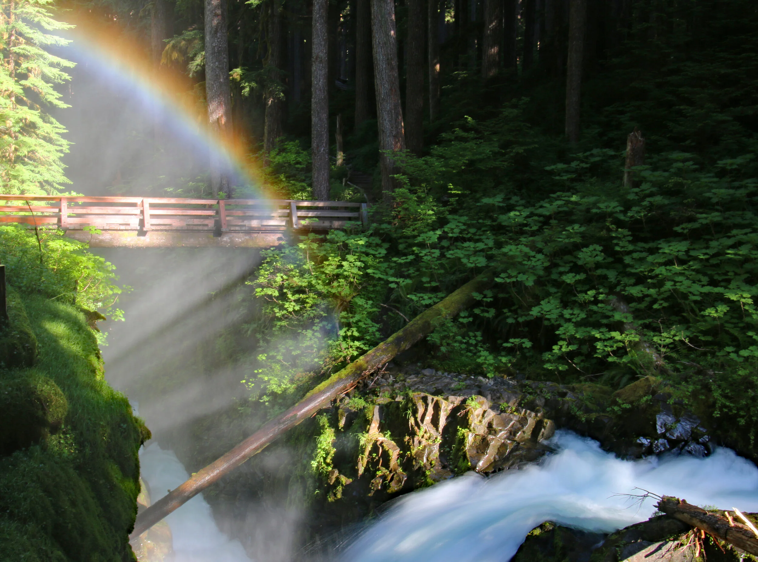 Greg Murray Photography