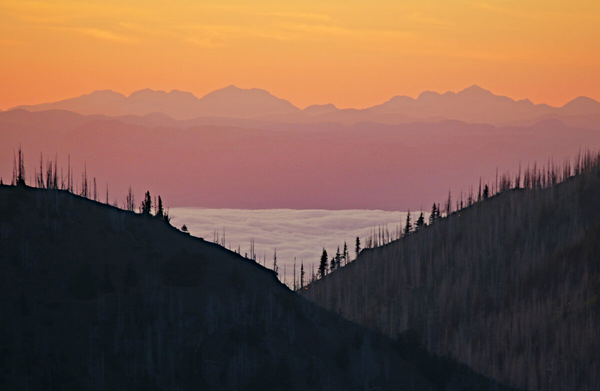 Greg Murray Photography