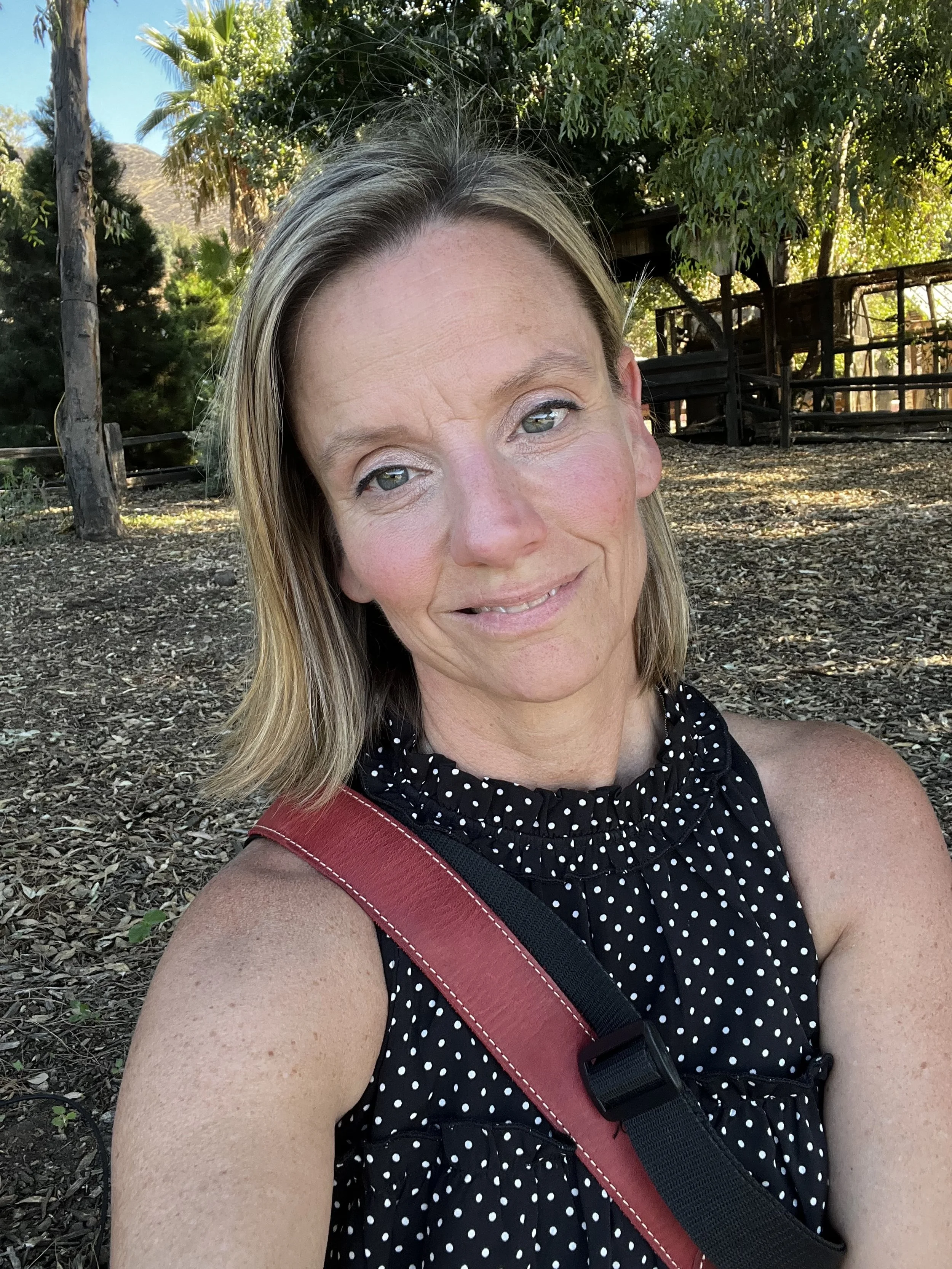 Artist Profile — Artistcloseup.com - Your favorite place to discover ...