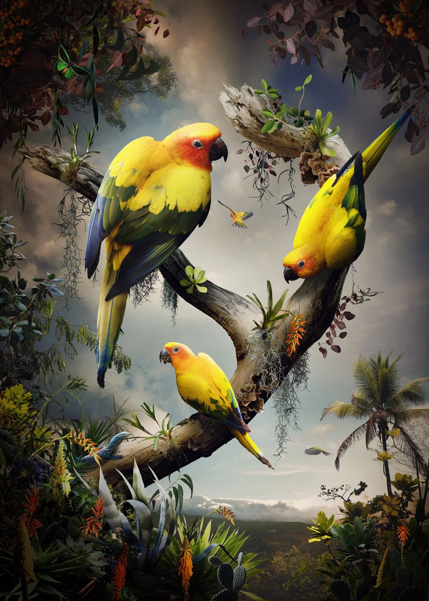 Jesper Krijgsman — Artistcloseup.com - Your favorite place to discover ...