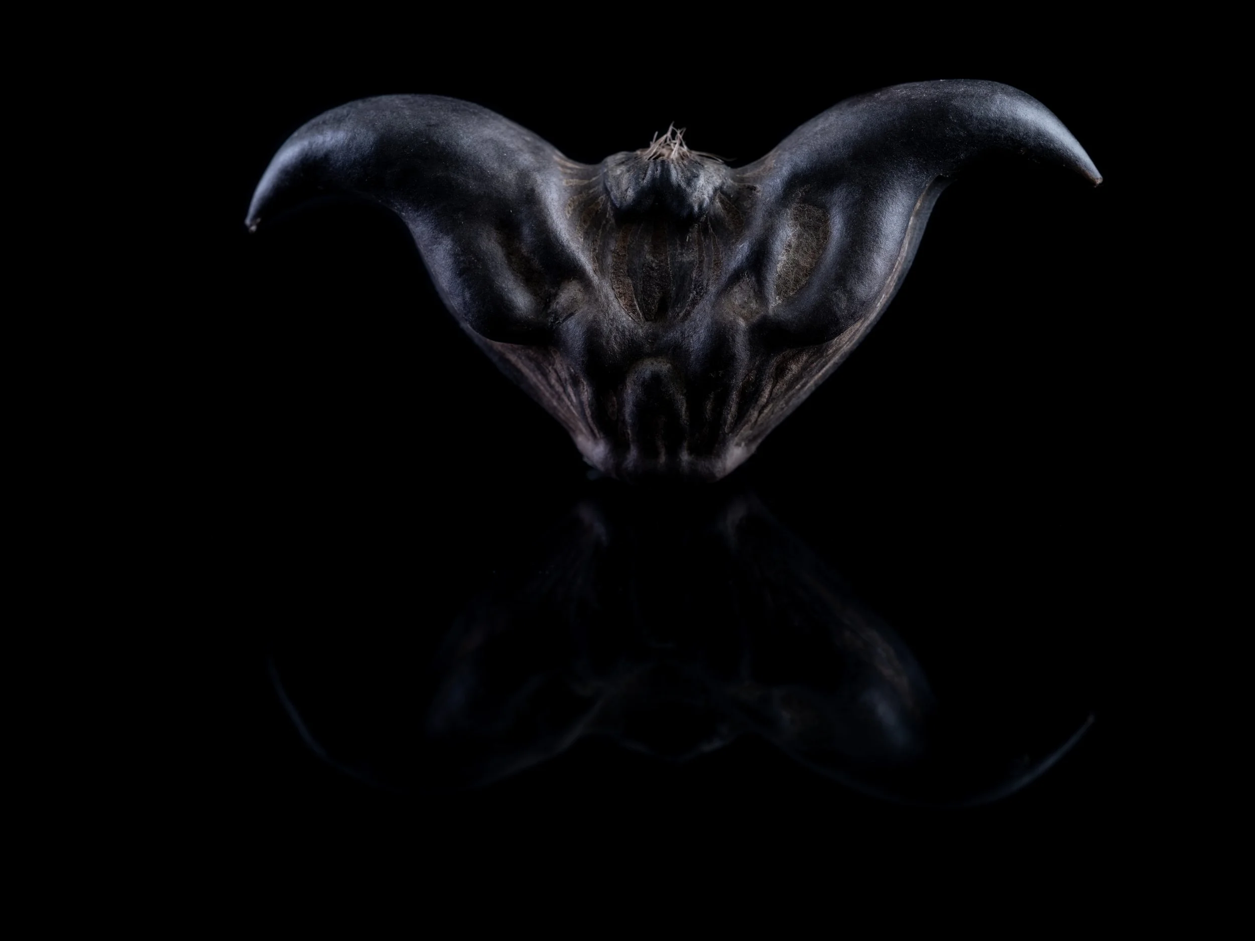 Interview — Artistcloseup.com - Your favorite place to discover new artists