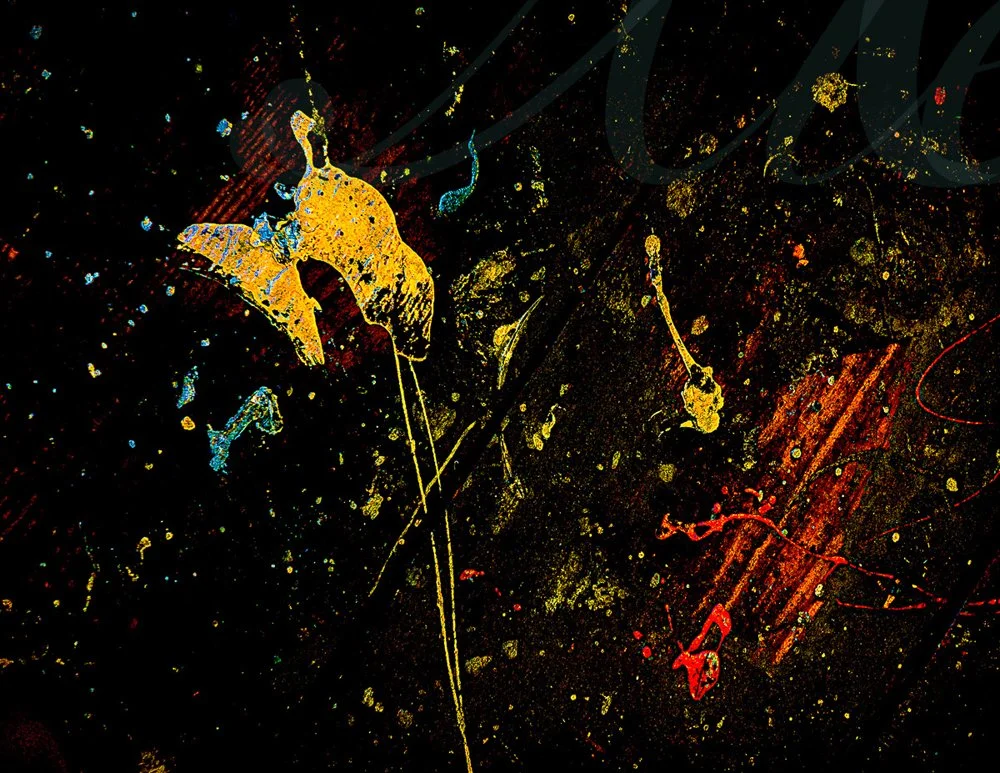 Alex M. Wolff Interview — Artistcloseup.com - Your favorite place to ...