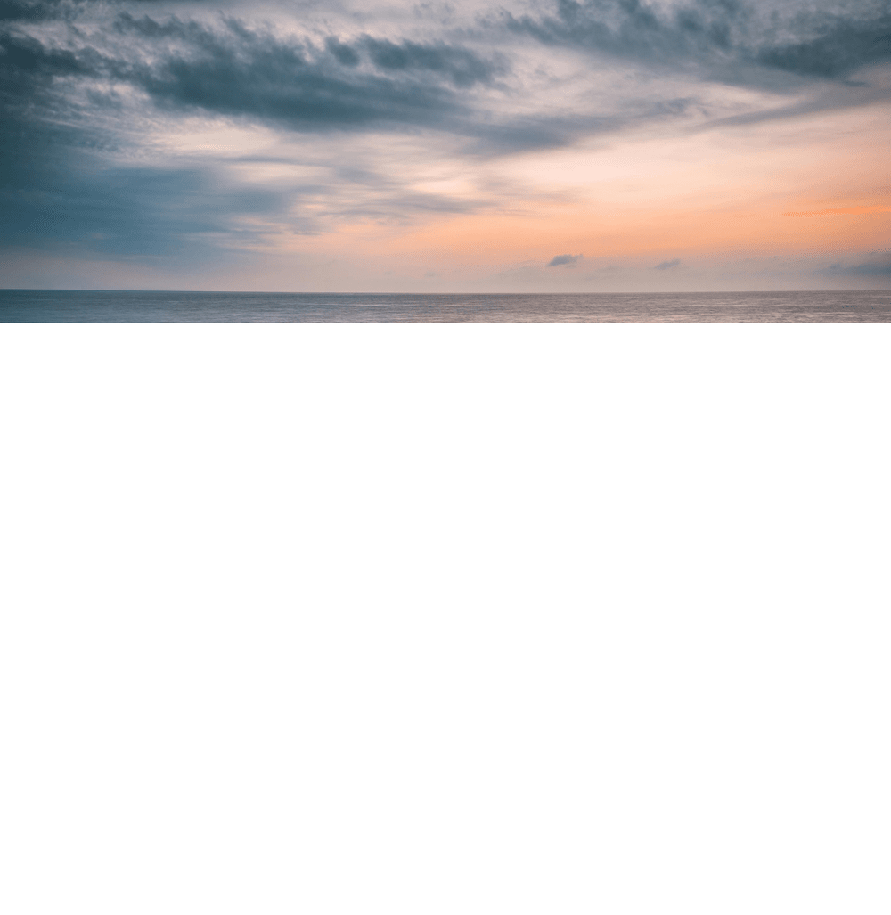 Abigail Crow — Wildly Authentic Counseling