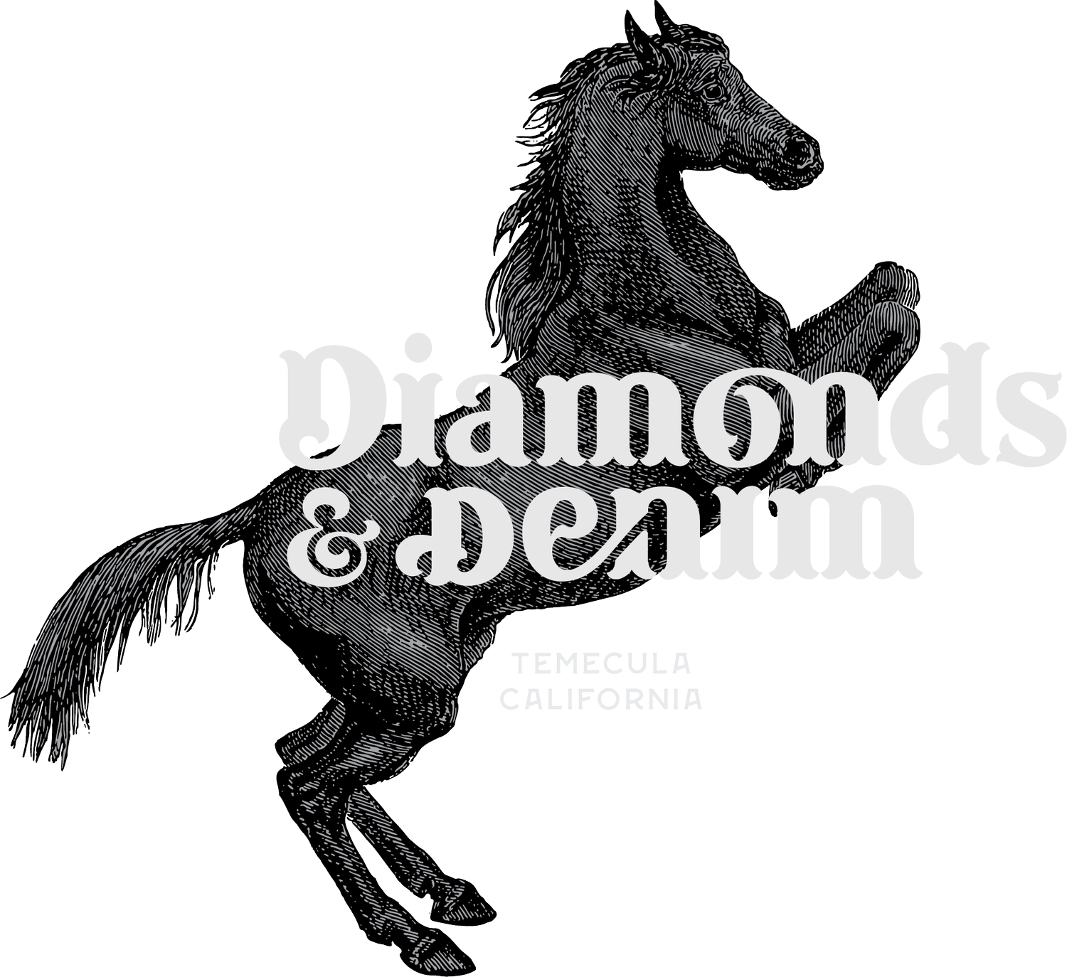 Temecula Wine Tours | Famous Semi Truck Tours | Toasted Tours