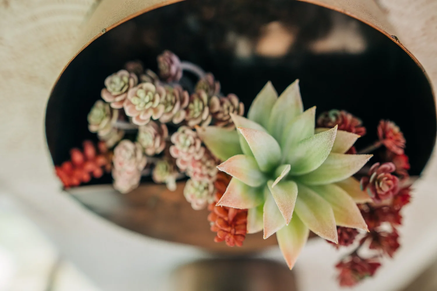 Home [www.toastedtours.com]