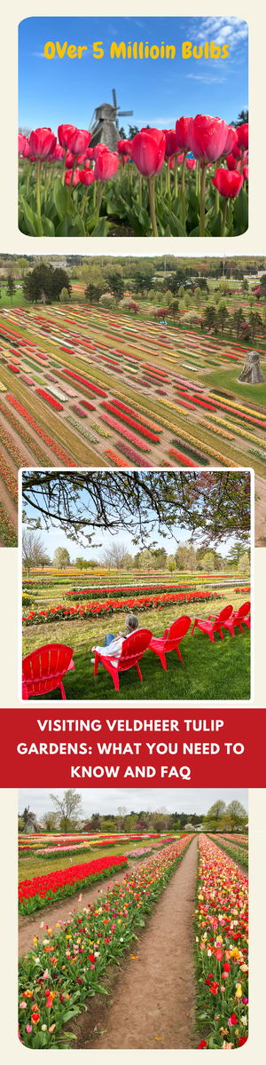 Veldheer Tulip Gardens Tulip Time Tulip Gardens Tulip Time Festival ...