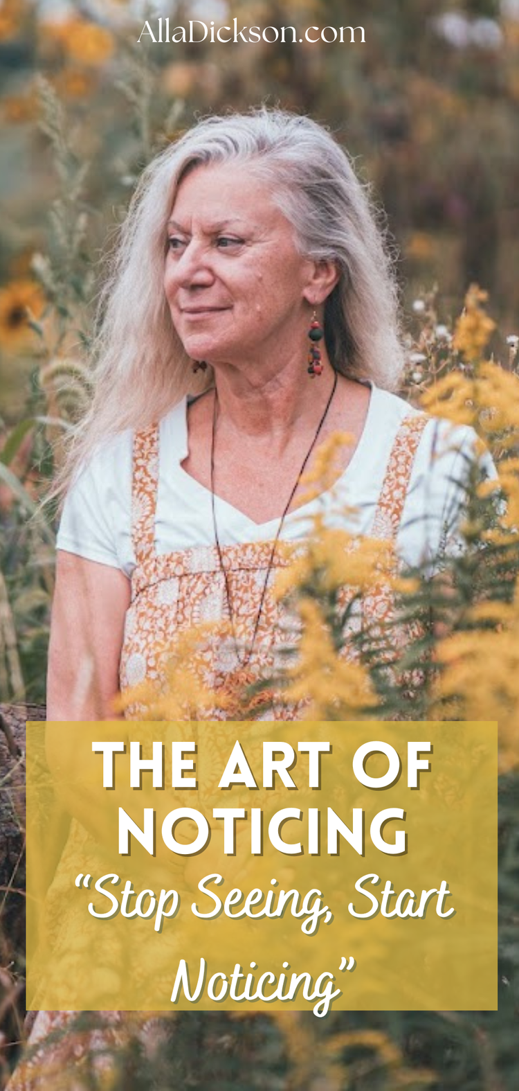 How to Notice - The Art of Noticing How to See Details Be Observant ...