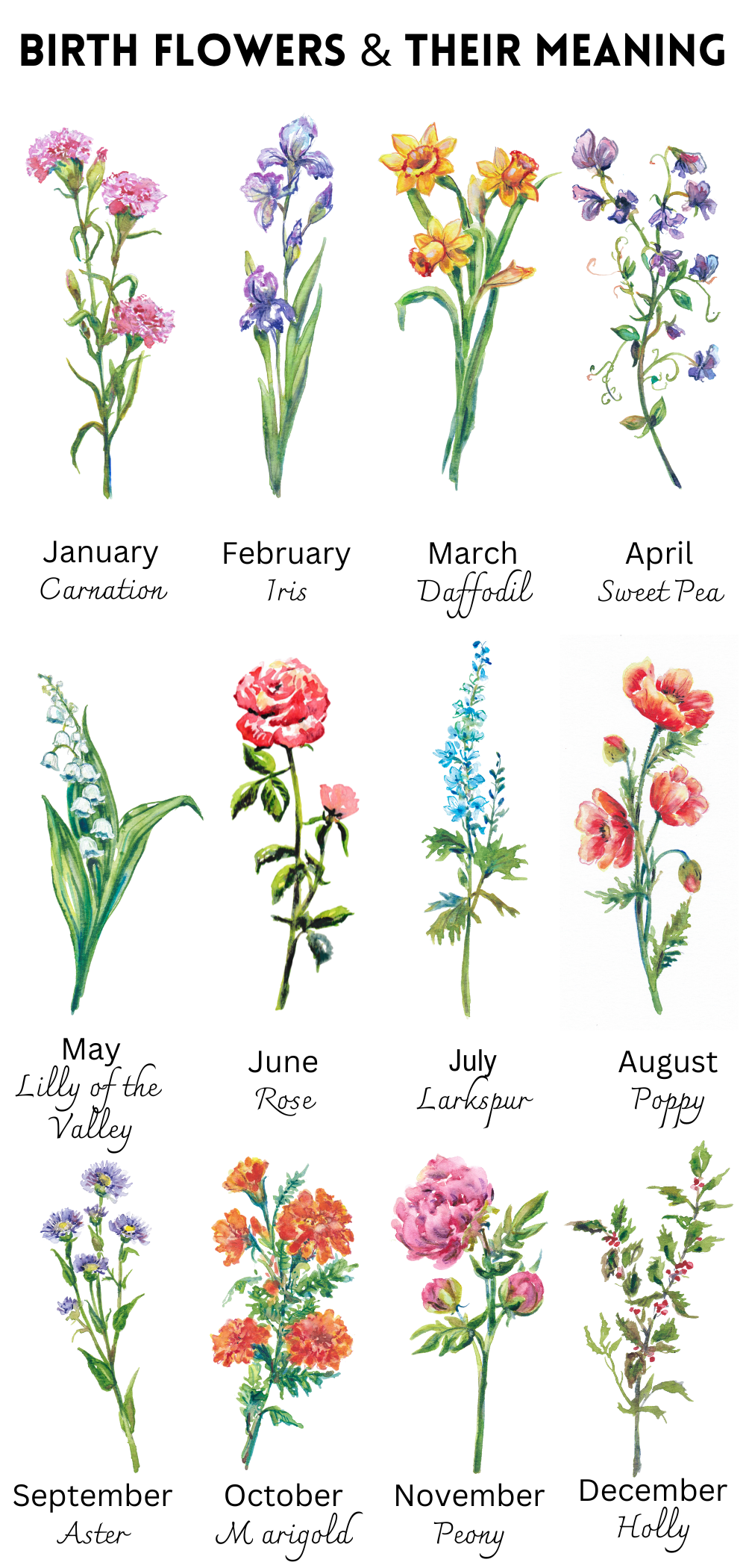 Birth Flower Meaning Birth Flower Art By Month My Birth Month Flower ...