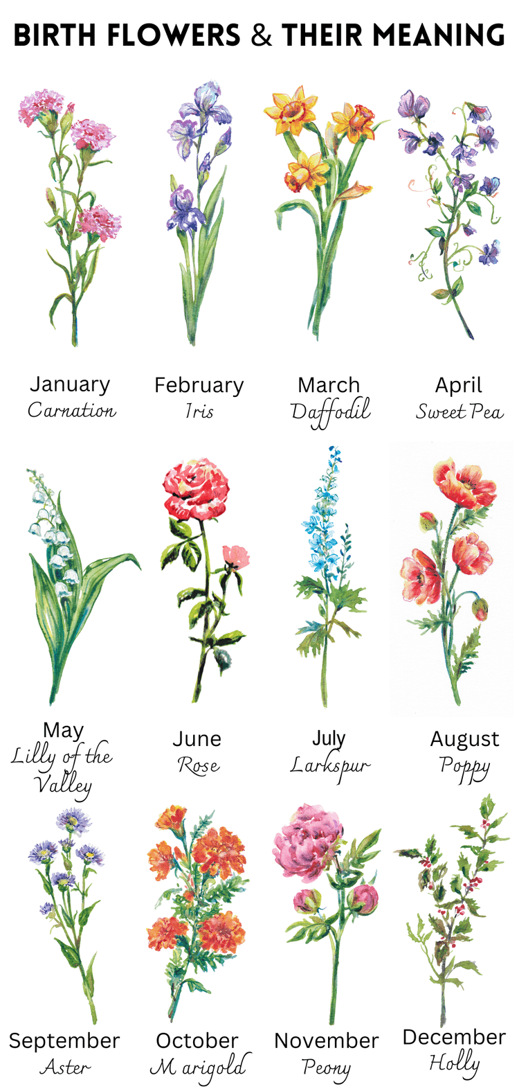 Birth Flower Meaning Birth Flower Art By Month My Birth Month Flower ...