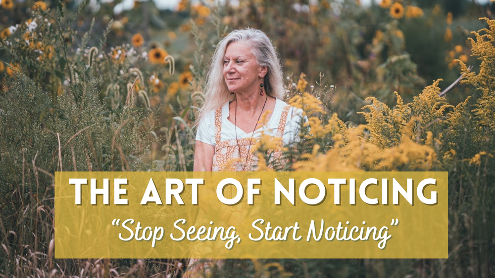 How to Notice - The Art of Noticing How to See Details Be Observant ...
