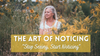 How to Notice - The Art of Noticing How to See Details Be Observant ...