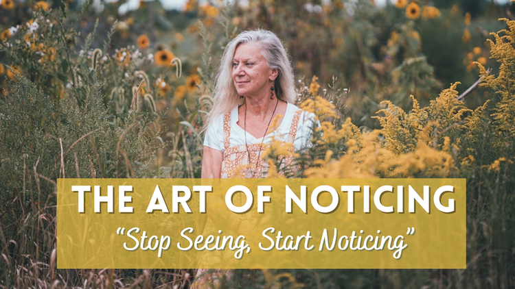 How to Notice - The Art of Noticing How to See Details Be Observant ...