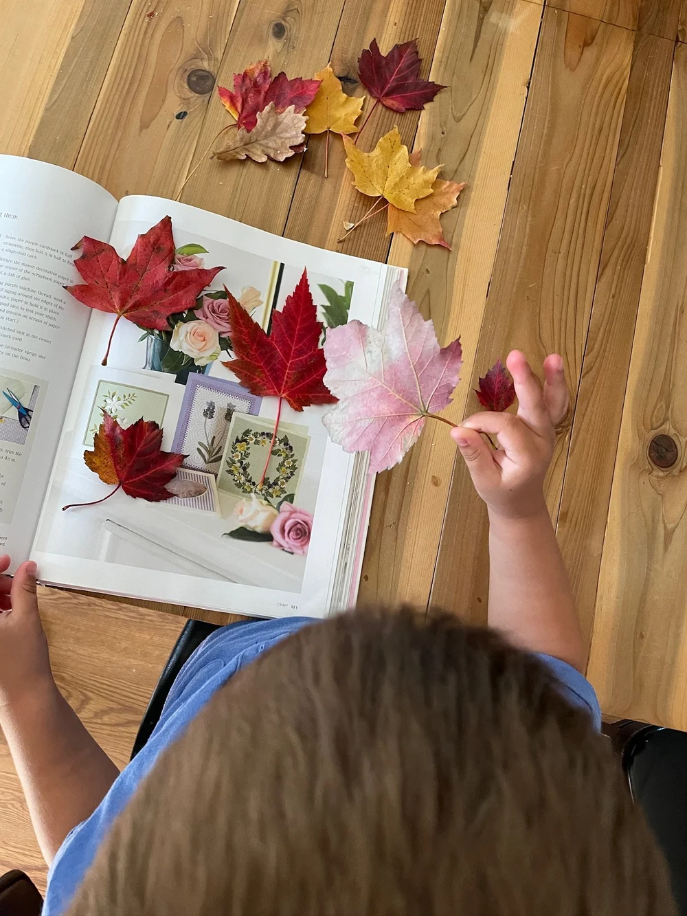Fall Crafts Autumn Craft and Decoration Ideas for Family Fall Craft ...