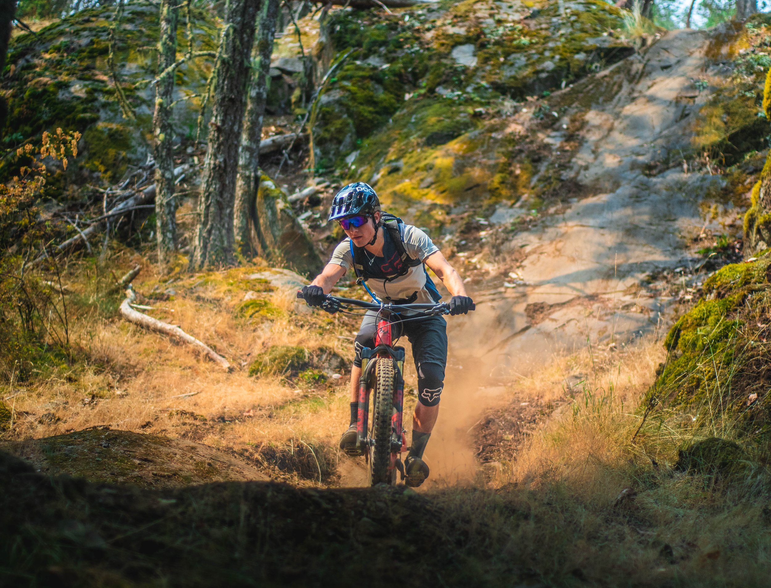 David Baker Photography - home