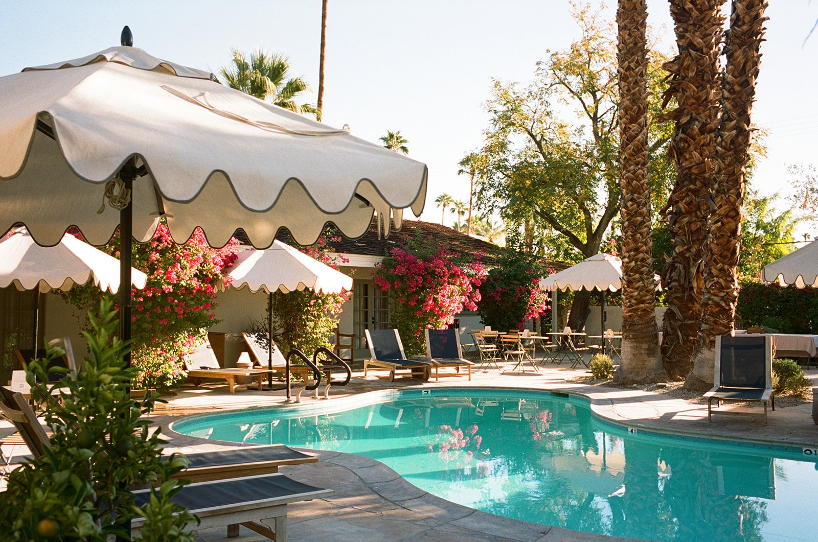 P + M | Palm Springs — Jenn Sanchez Design
